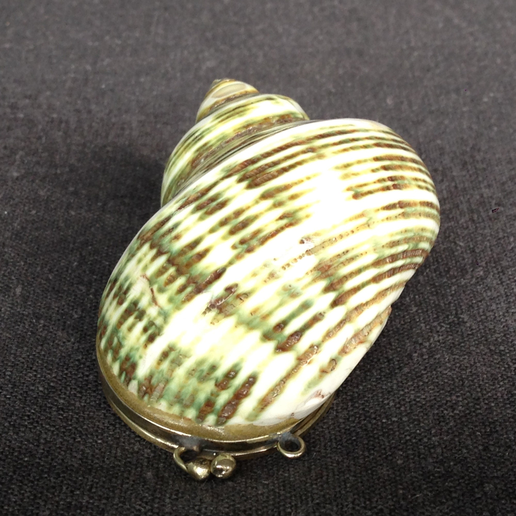 Antique Seashell Coin Purse or Little Retro Secret Case - Etsy