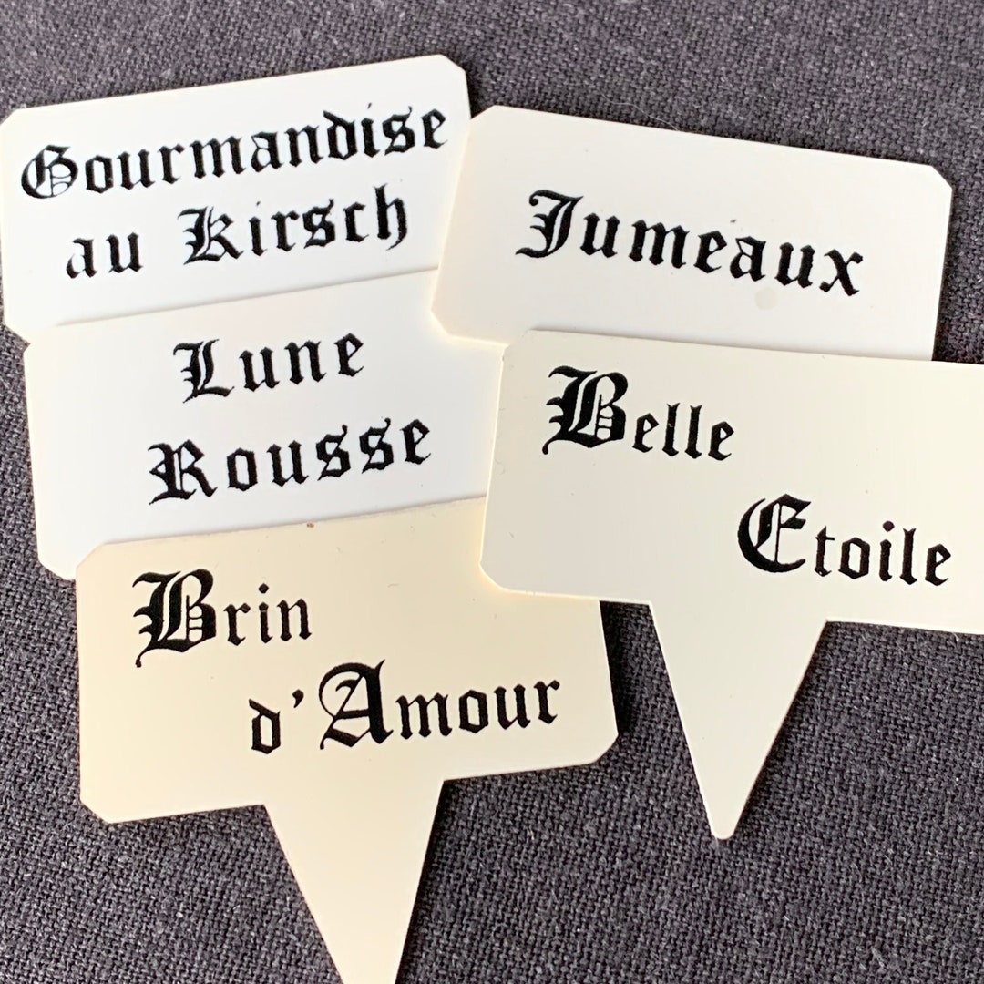 Vintage Rescued French Cheese Labels. Love Messages to Be Upcycled ...