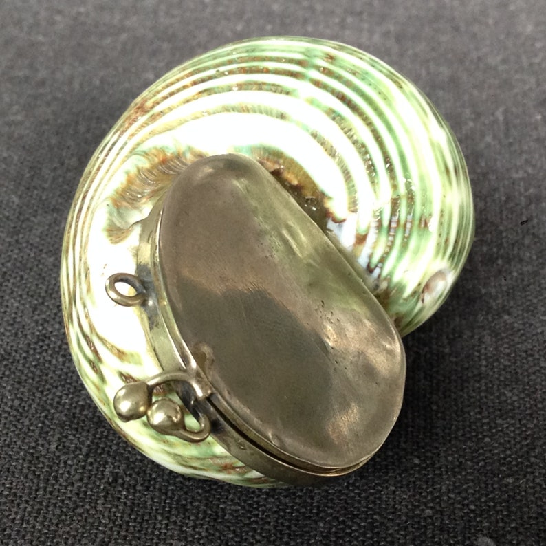 Antique Seashell Coin Purse or Little Retro Secret Case - Etsy