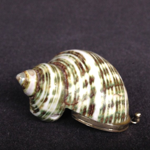 Antique seashell coin purse or little retro secret ca… - Gem
