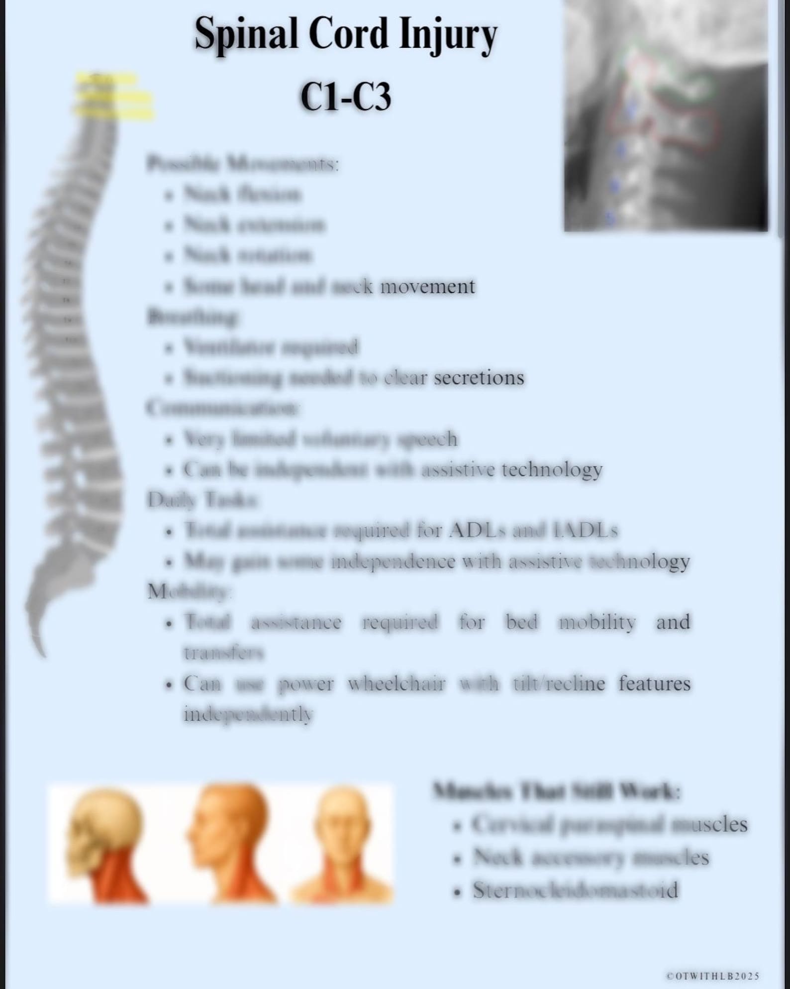 Spinal Cord Injury Visual Study Guide (C1–S5) - Etsy