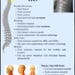 Spinal Cord Injury Visual Study Guide (C1–S5) - Etsy