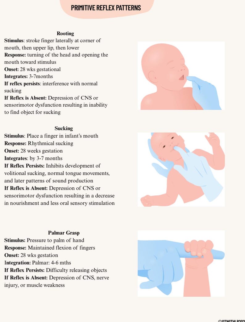 Pediatric Development - Etsy