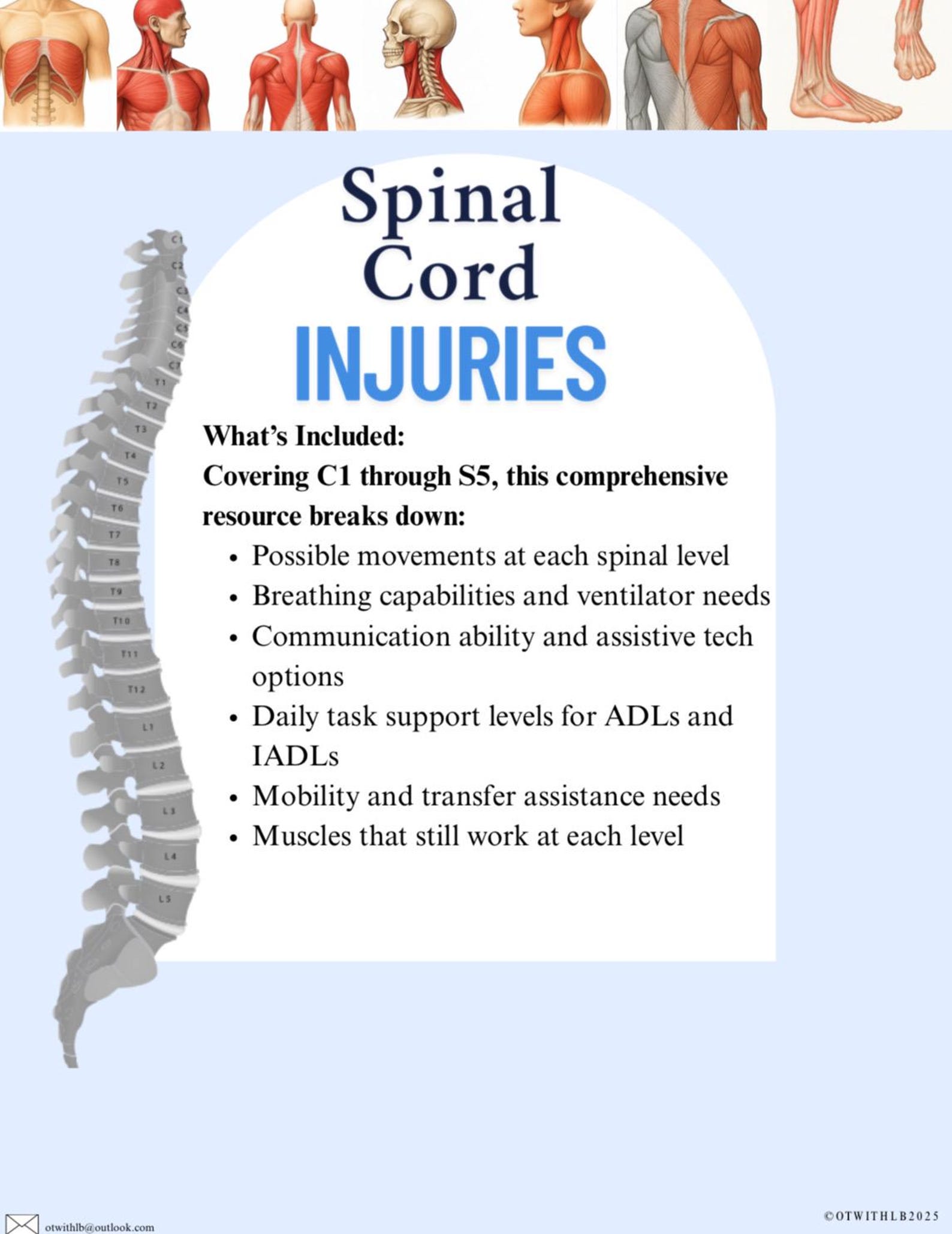 Spinal Cord Injury Visual Study Guide (C1–S5) - Etsy