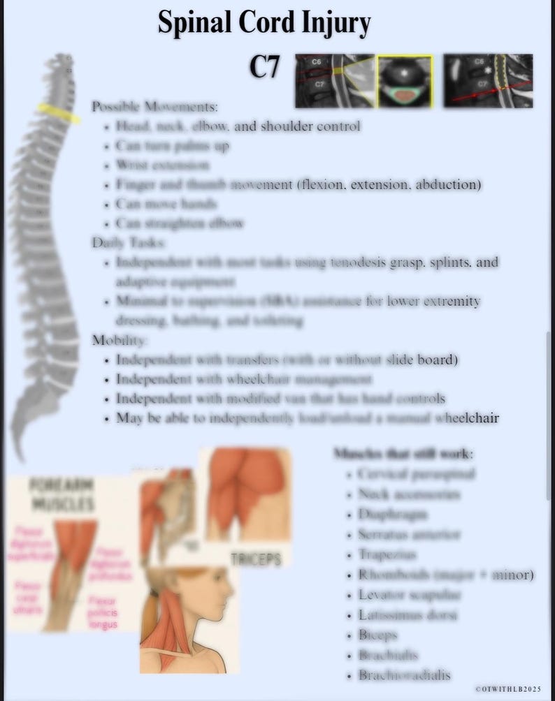 Spinal Cord Injury Visual Study Guide (C1–S5) - Etsy