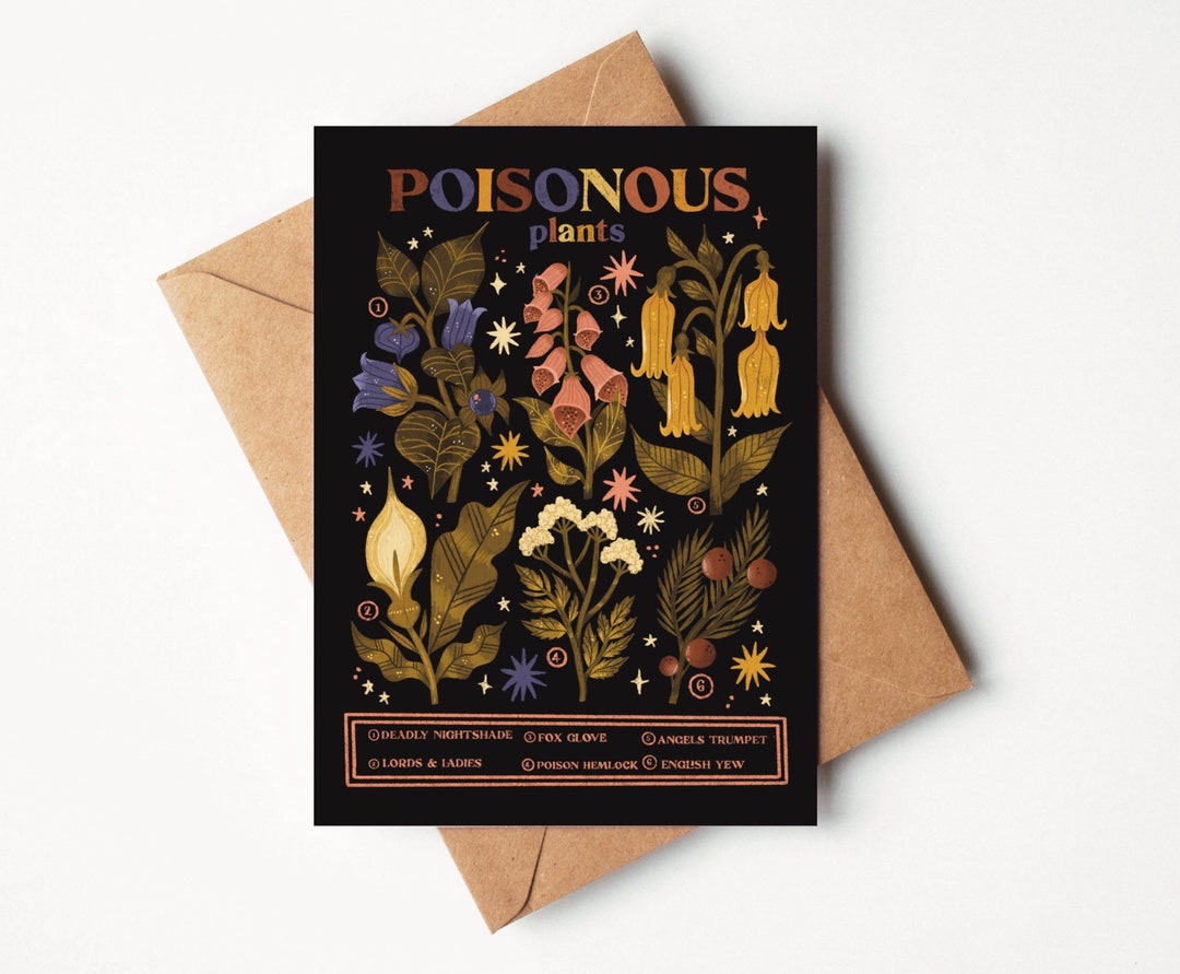A6 Blank Greetings Card Poisonous Plants Illustration Chart - Etsy
