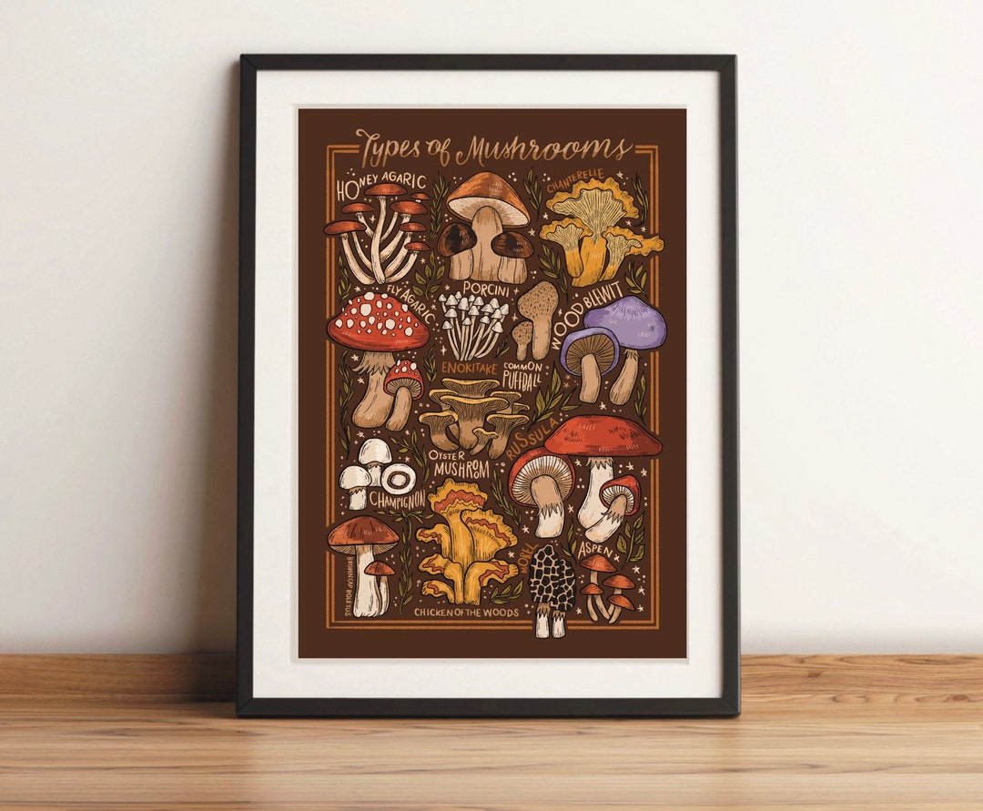 Art Print | Mushroom Chart | Botanical Illustration by Steph Says Hello ...