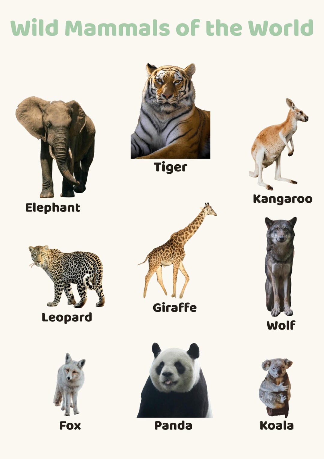 Wild Mammals Printable Wall Art - Etsy
