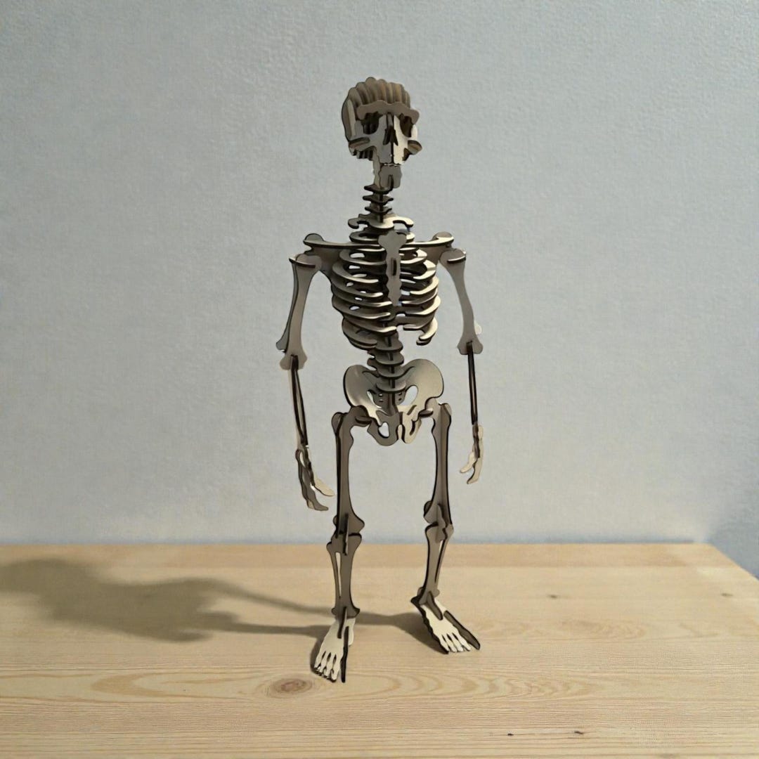 Wooden Skeleton Assembly Kit – DIY 3D Puzzle – Natural Wood Decoration ...