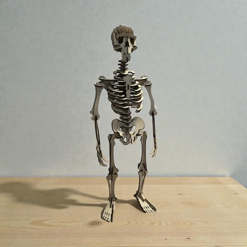Wooden Skeleton Assembly Kit – DIY 3D Puzzle – Natural Wood Decoration ...