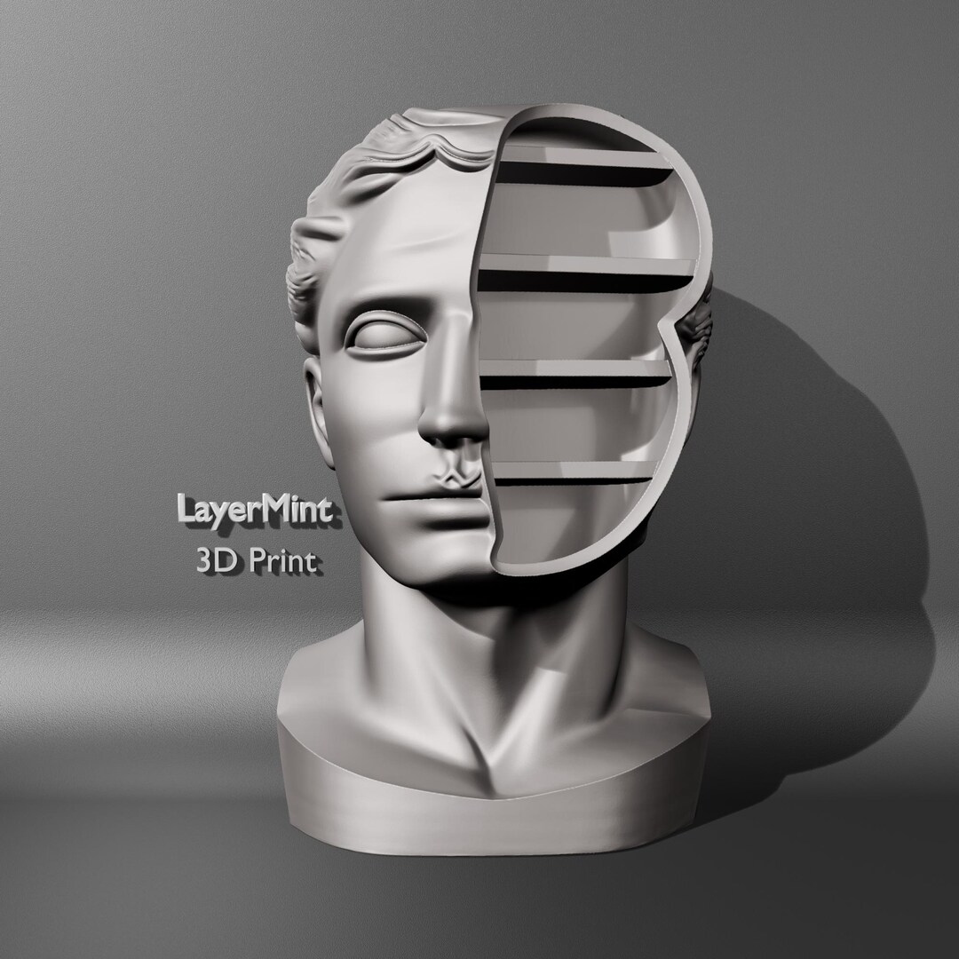 3D Printable Half Face Bust Sculpture: Classical Head Organizer STL ...