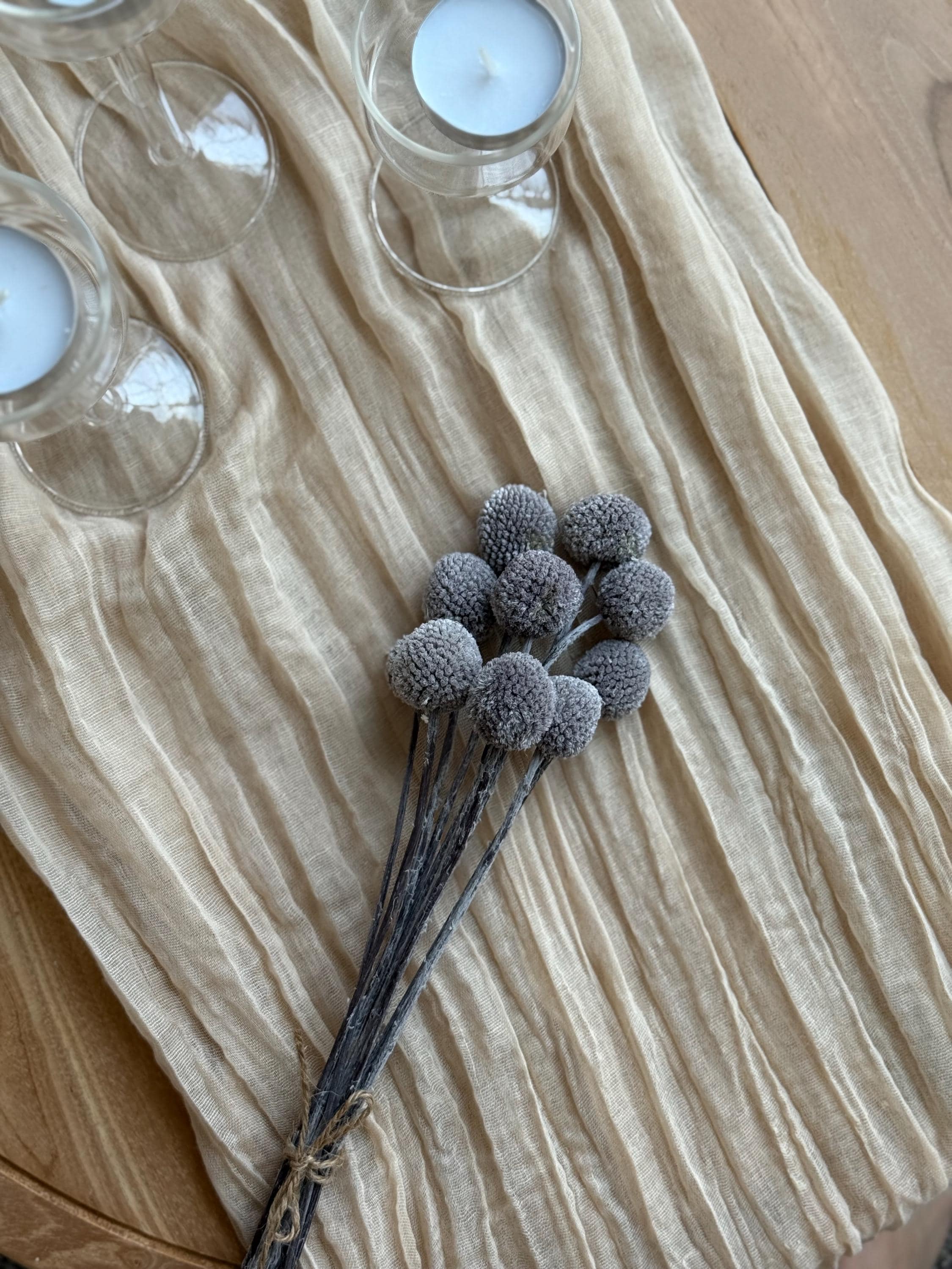 Dried Billy Balls Assortment: Green or Brown Craspedia for Floral Decor ...