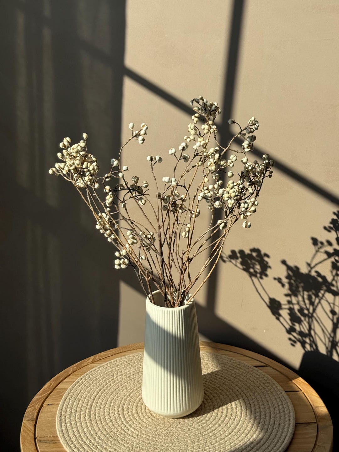 Dried White Berry Stems: Natural Botanical Accent (18-20” Tall) - Etsy