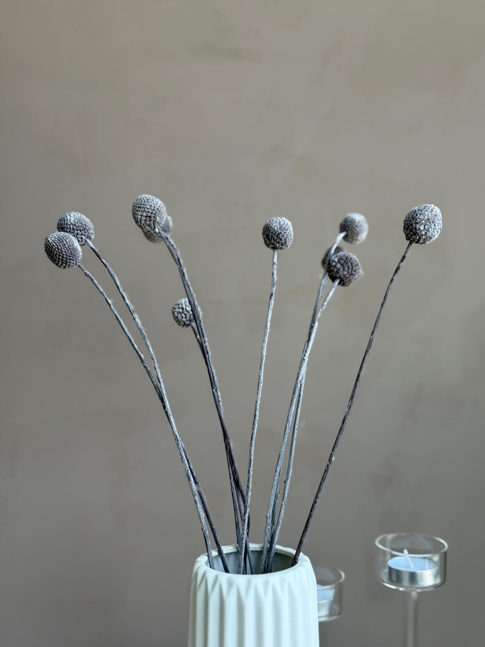 Dried Billy Balls Assortment: Green or Brown Craspedia for Floral Decor ...