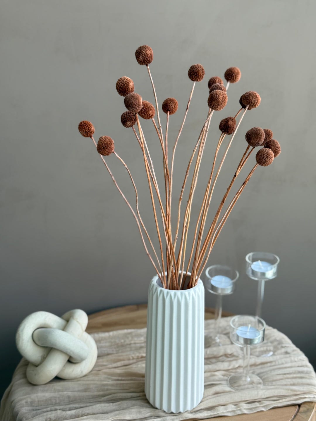 Dried Billy Balls Craspedia: 20" Floral Accent - Green or Brown - Etsy