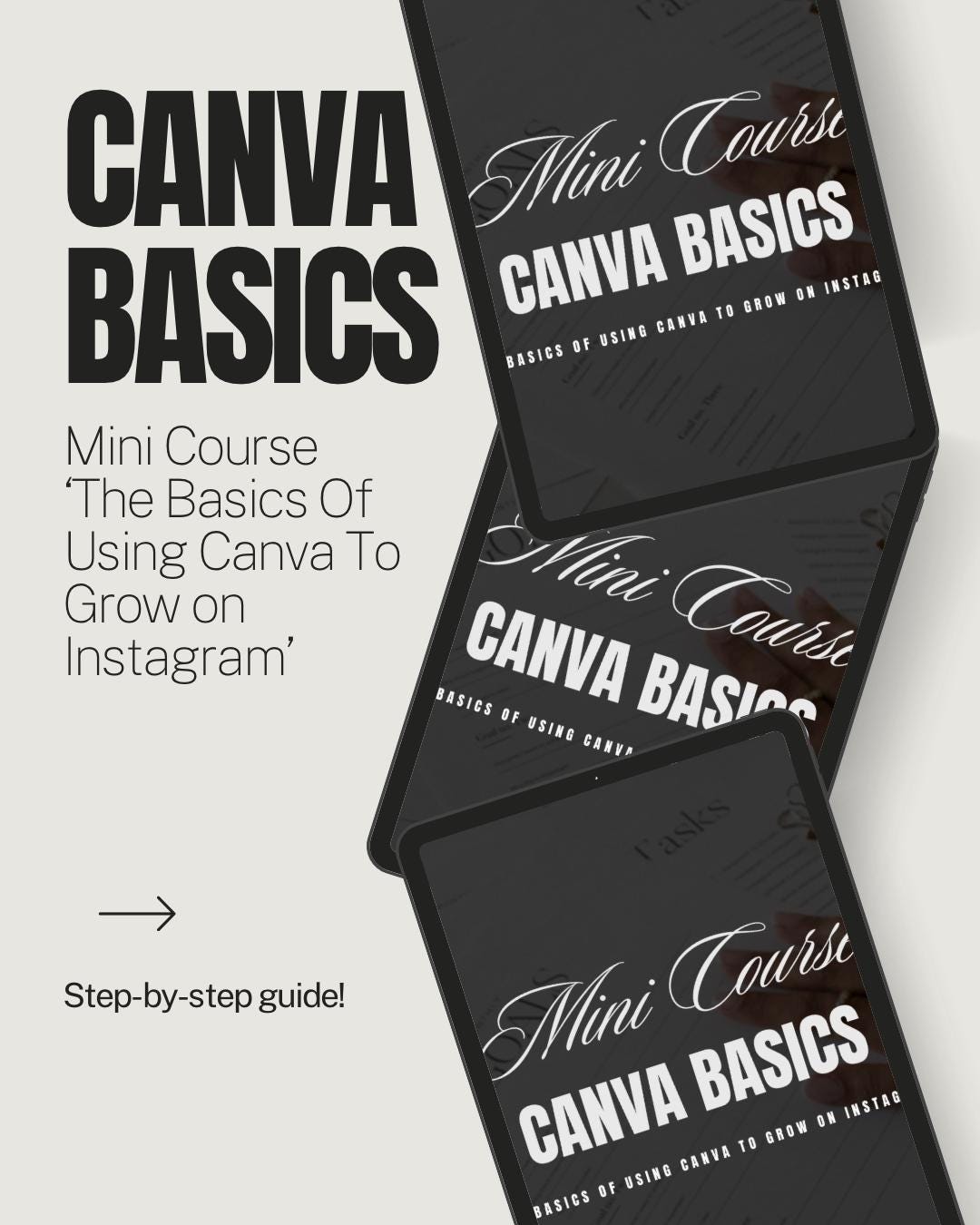 Canva Basics Mini Course MRR + PLR - Etsy