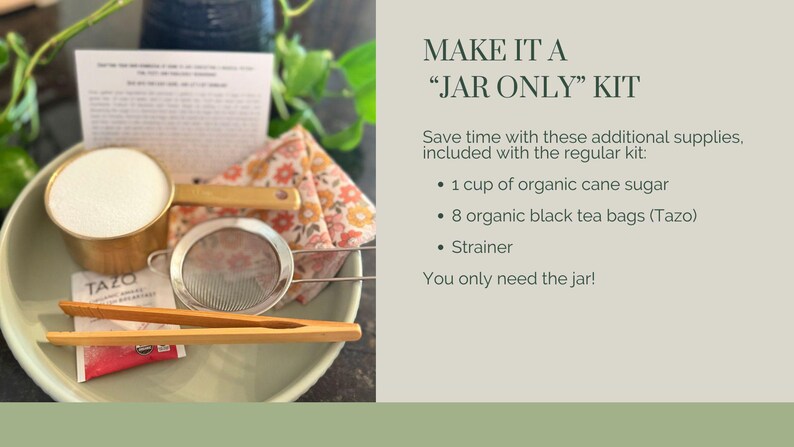Kombucha Starter Kit: Live SCOBY With Cultures & Strong Tea | Full Kit ...