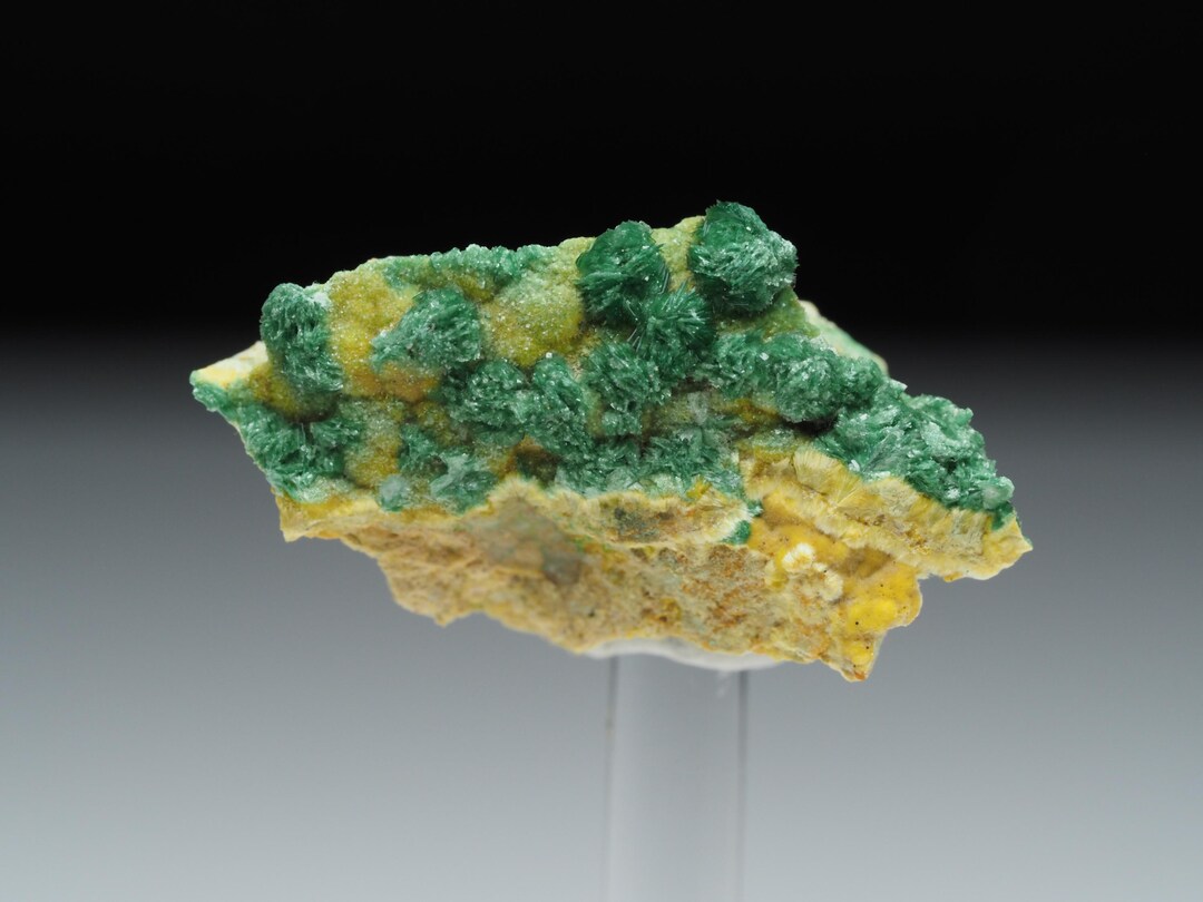 Metatorbernit, Shinkolobwe Mine, Haut Katanga, Kongo - Etsy