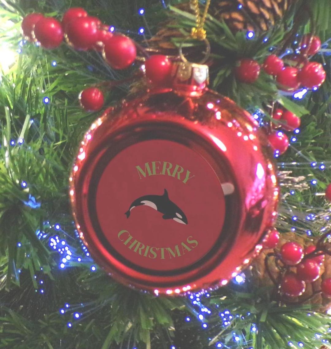 Personalized Individual Christmas Baubles in Red, Green, Blue, Silver ...
