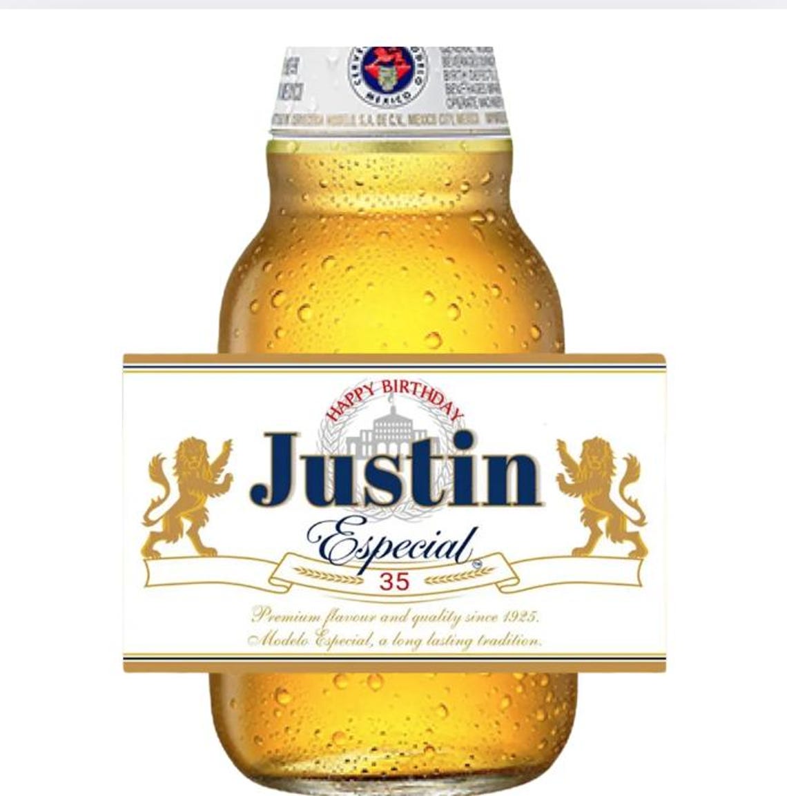 Custom Modelo Beer Labels – Personalized Party Stickers (dozen) - Etsy