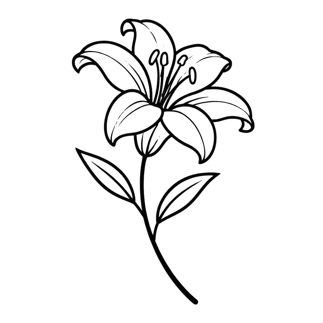 Lily Flower SVG Outline Botanical Line Art Clipart - Etsy