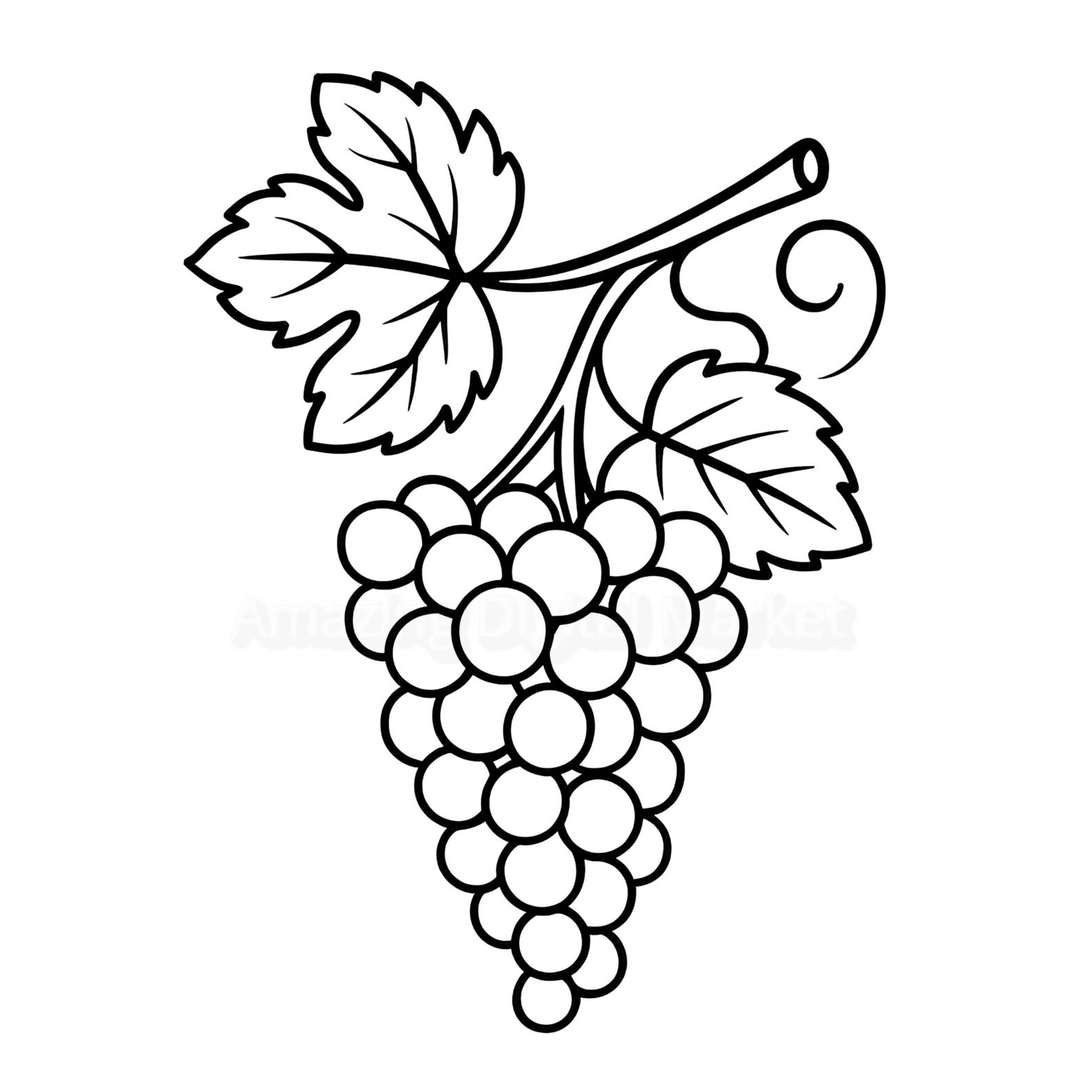Grapes Line Art | Vine Fruit Outline Cut File Svg Png Dxf Eps Pdf - Etsy