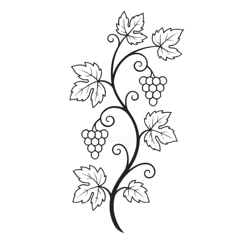 Grapevine Branch SVG | Svg Png Dxf Eps Pdf - Etsy