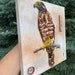 Hawk Beaded Assemblage Art - Jewelry Wall Art - Collage - Animal Art ...