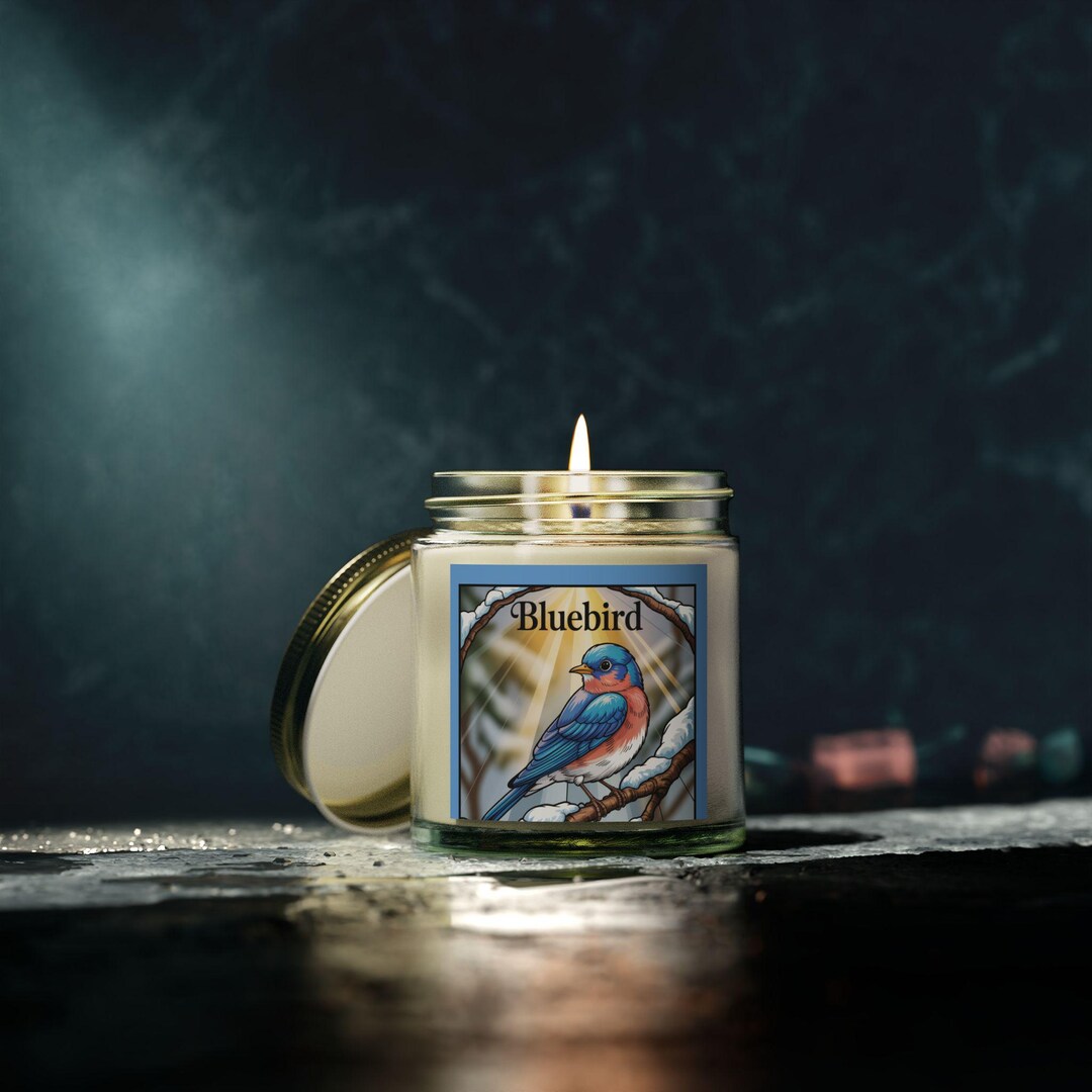 Bluebird Candle: Bird Lover, Coconut Apricot Wax, Cozy Home Decor ...