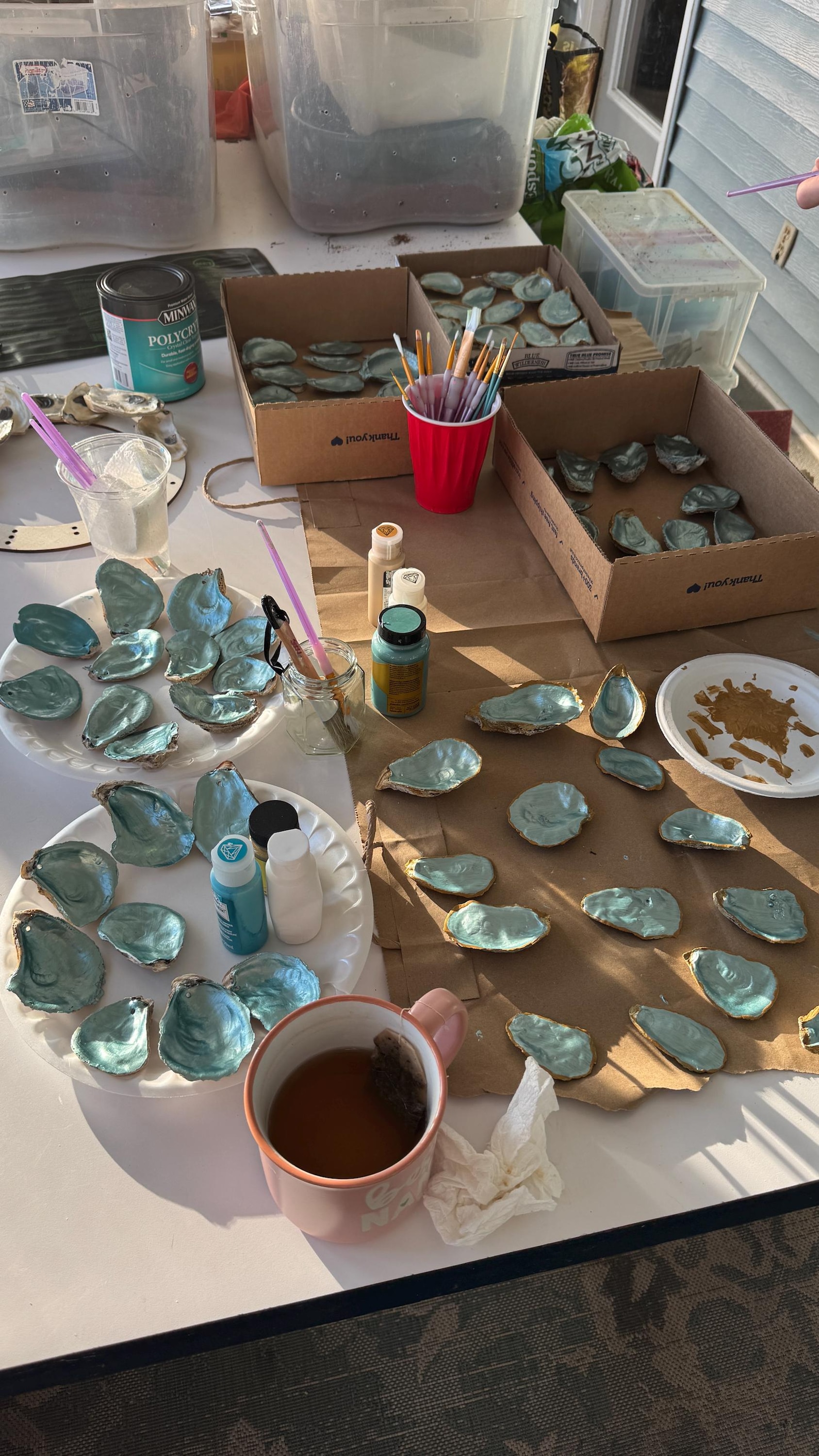 Clean Oyster Shells for Crafts and Decoupage - Etsy