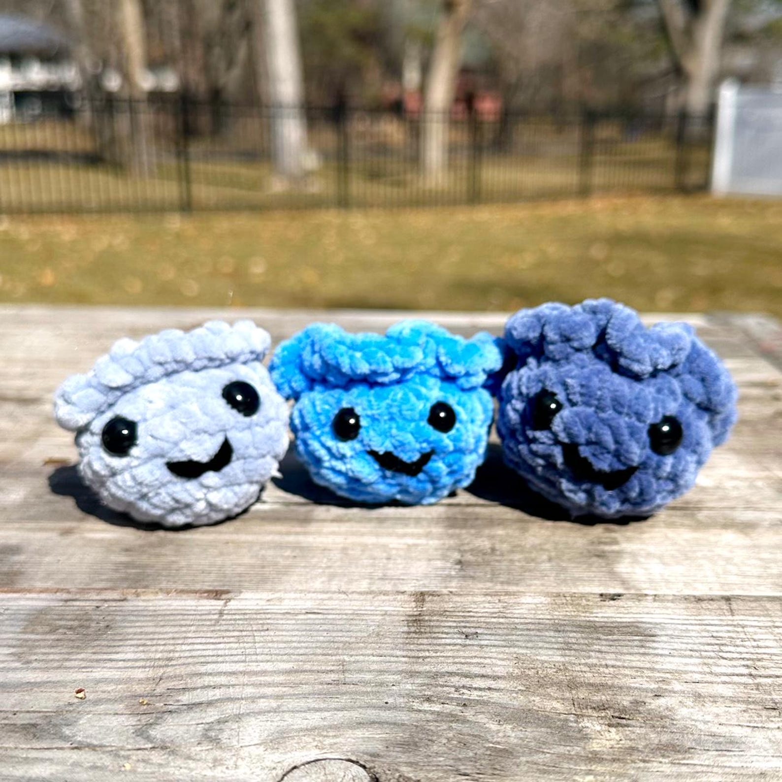 Blueberry Crochet Pattern - Etsy