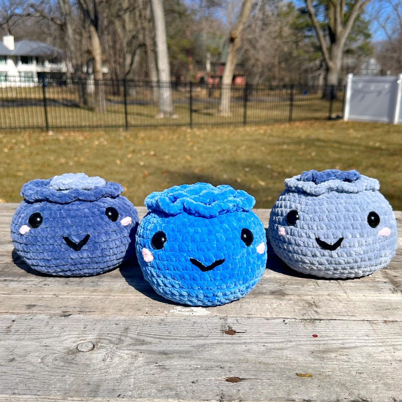 Blueberry Crochet Pattern - Etsy