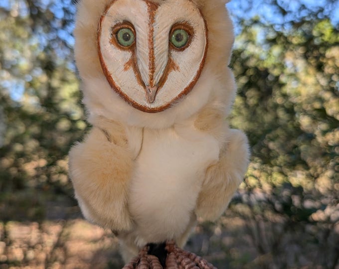 LARGE AVIAN: Barn Owl Woodbaby Handmade Shoulder-sitting Puppet ...