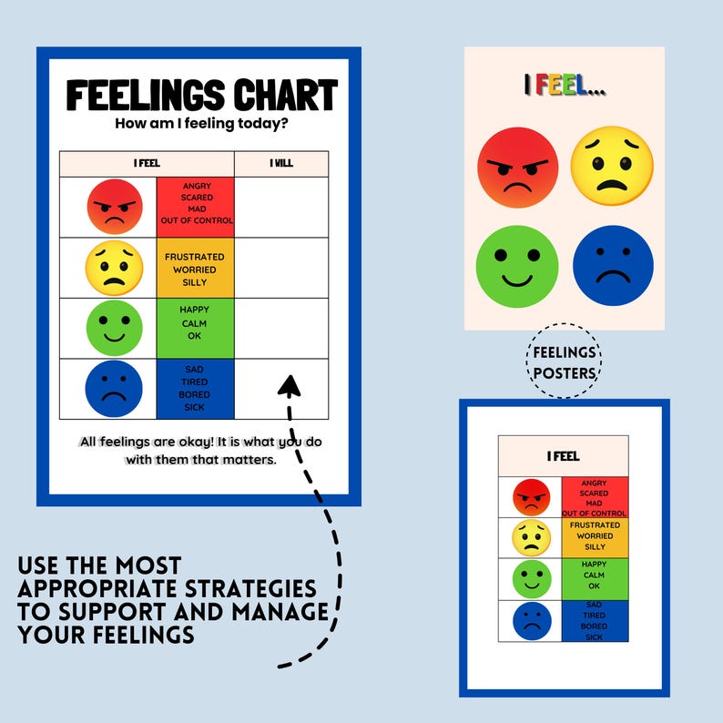 Feelings, Emotions, Zones of Regulation, Behaviour, ASD,ADHD, Feelings ...