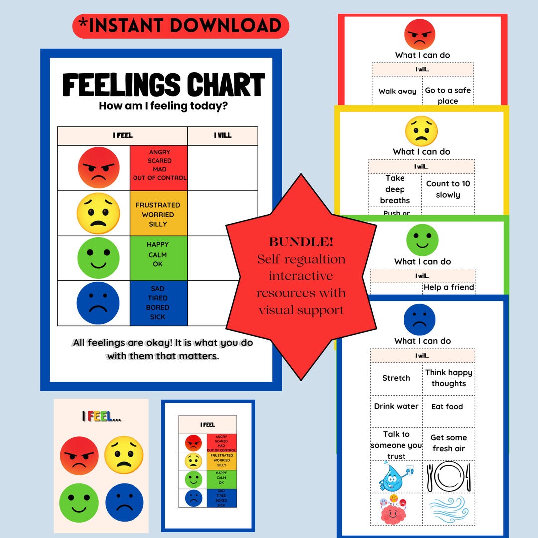 Feelings, Emotions, Zones of Regulation, Behaviour, ASD,ADHD, Feelings ...