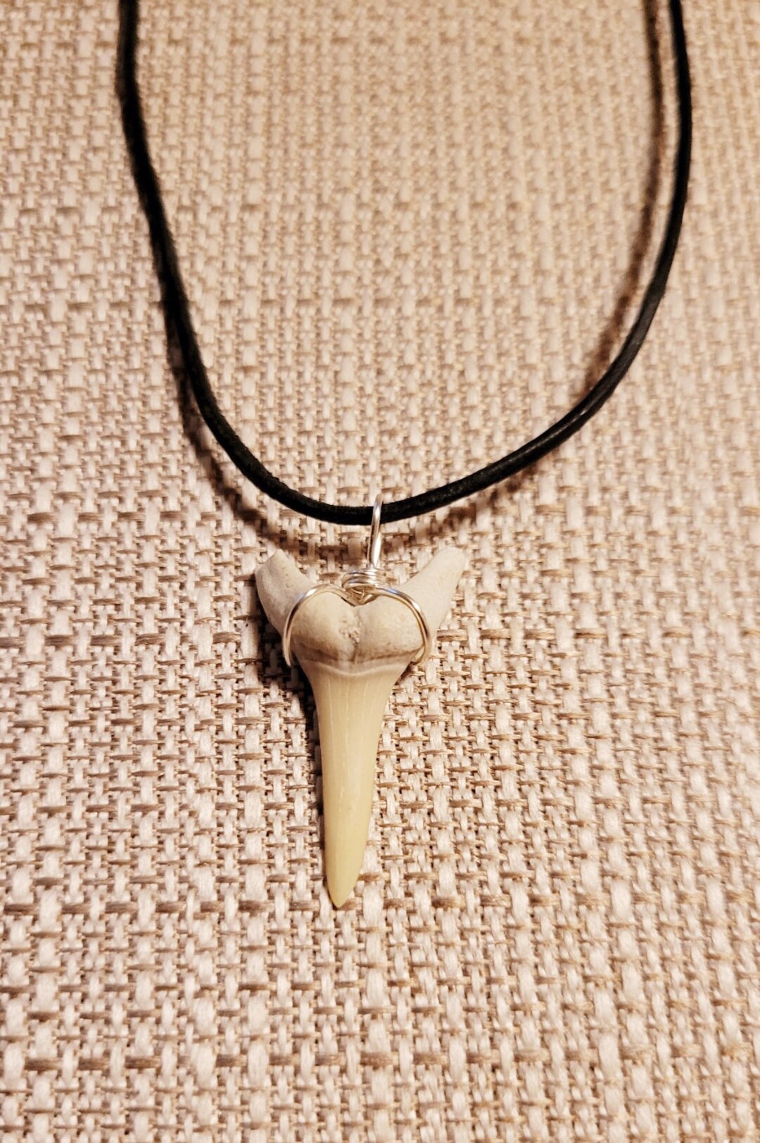 Beige Sharks Tooth Pendant, Wire Wrapped in Silver Wire by Barb's ...