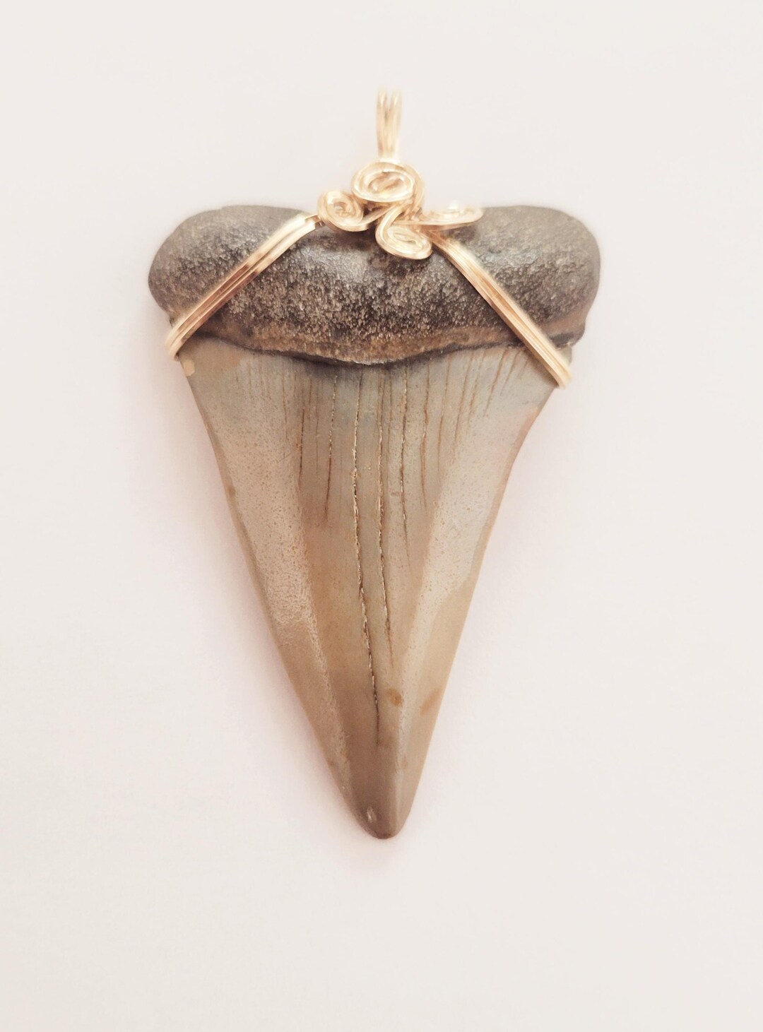 2,25 Inch or 55 Mm MAKO Sharks Tooth Pendant, Wire Wrapped in 14 K Gold ...