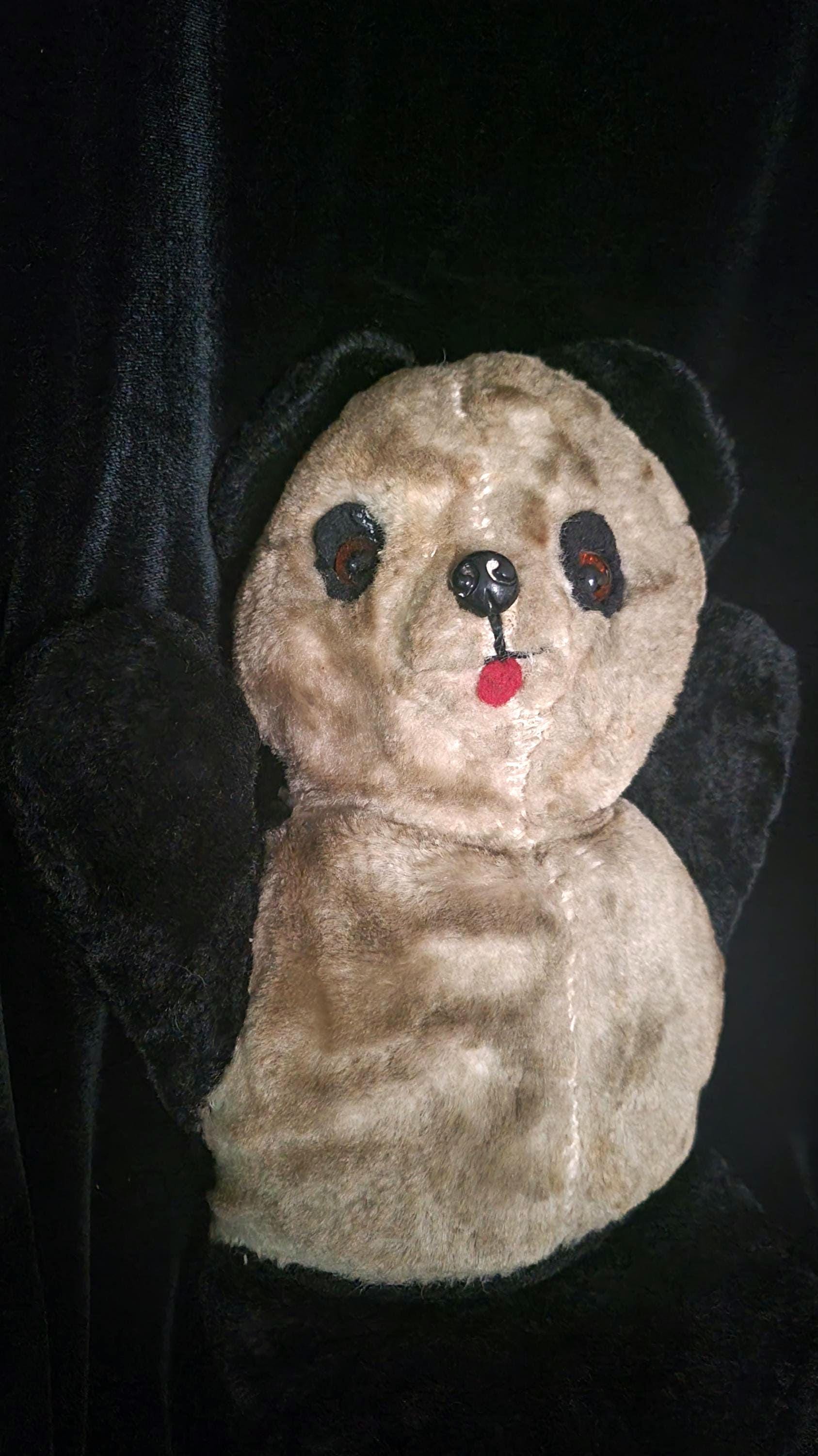 Haunted Teddy Bear – Paranormal Spirit Vessel of “julian” - Etsy
