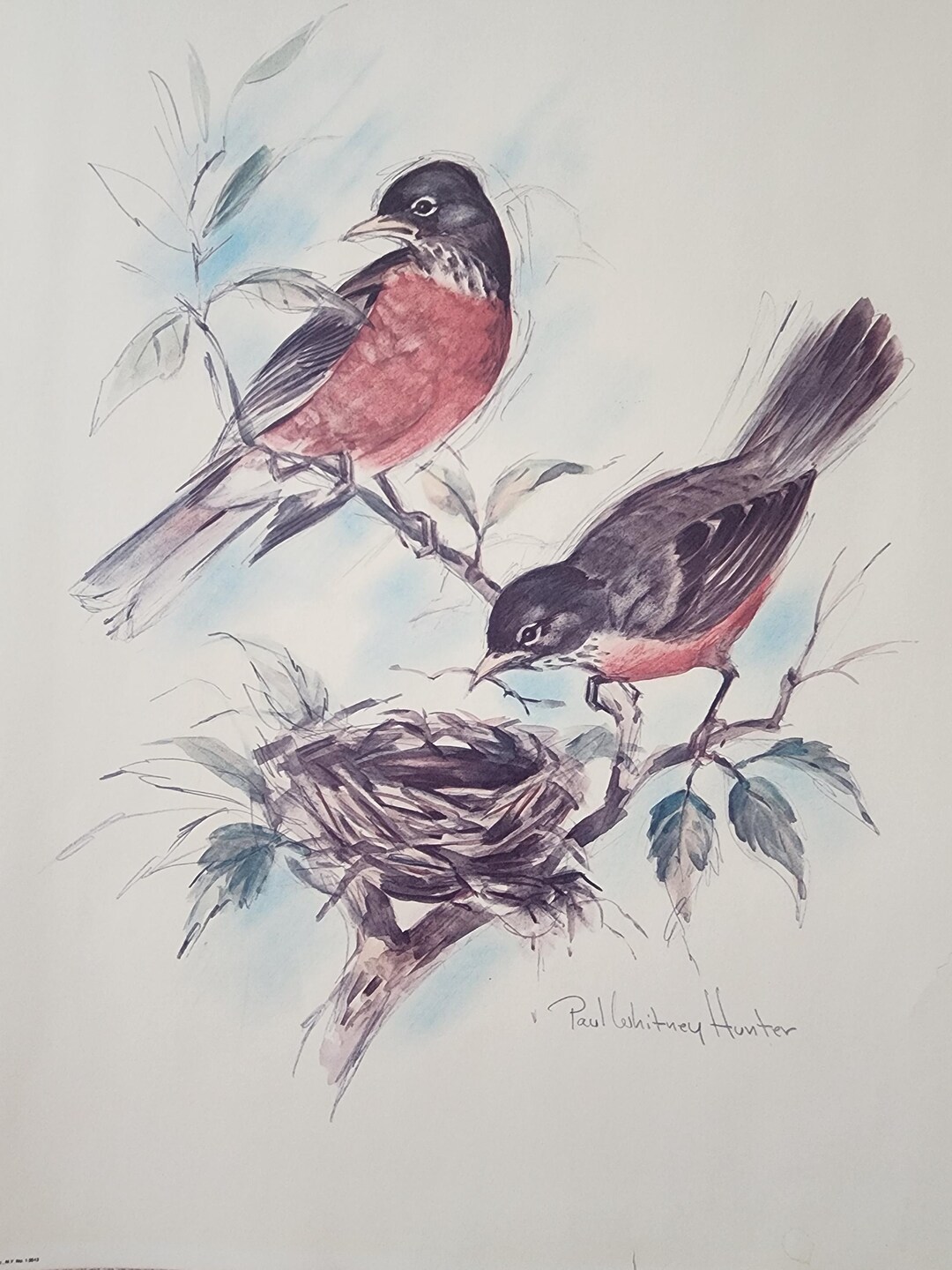 Vintage Signed Paul Whitney Hunter "robins With Nest" Lithograph 14x11 ...