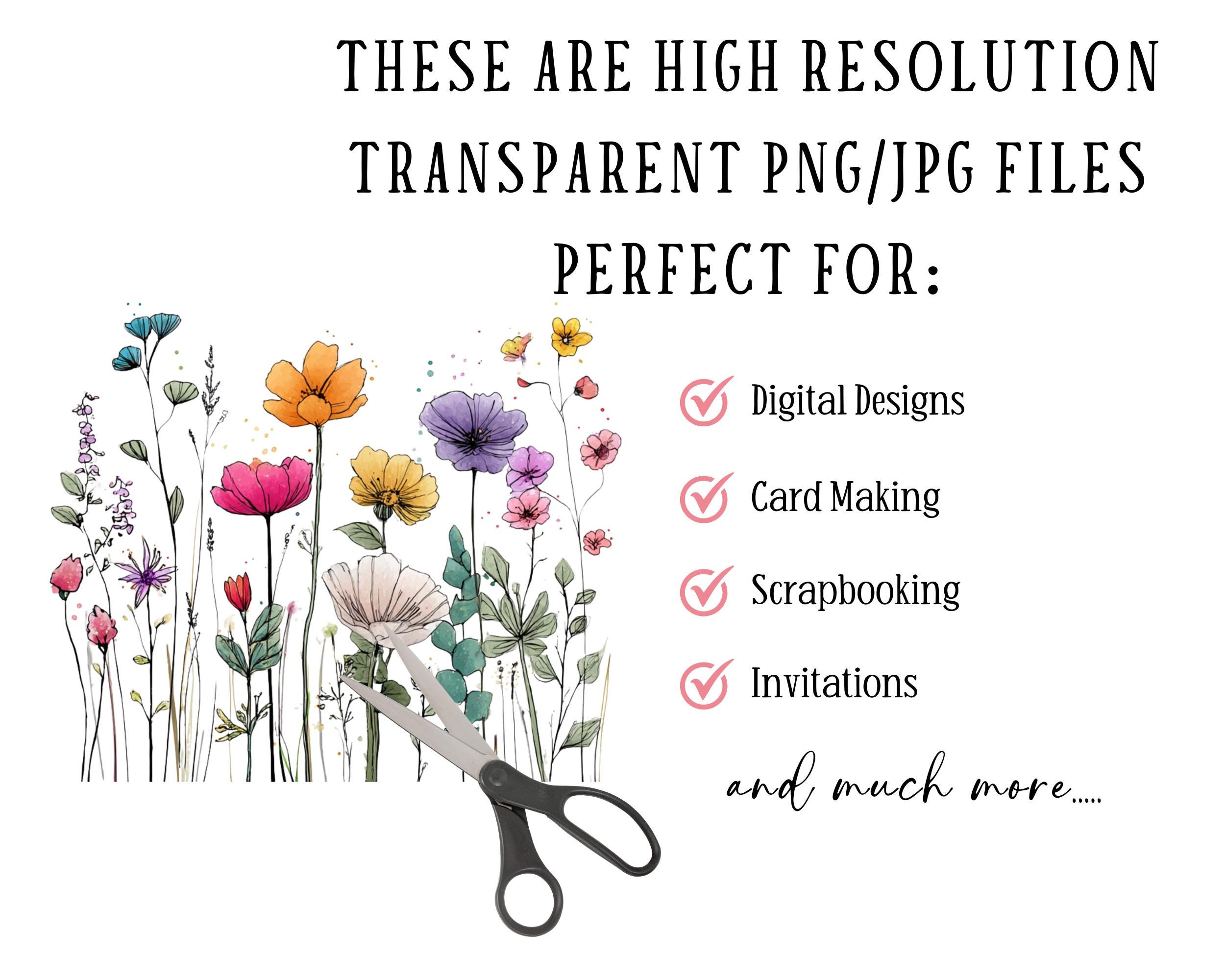 Sketched Coloured Wildflowers Clipart, Doodle Hand Drawn Botanical ...