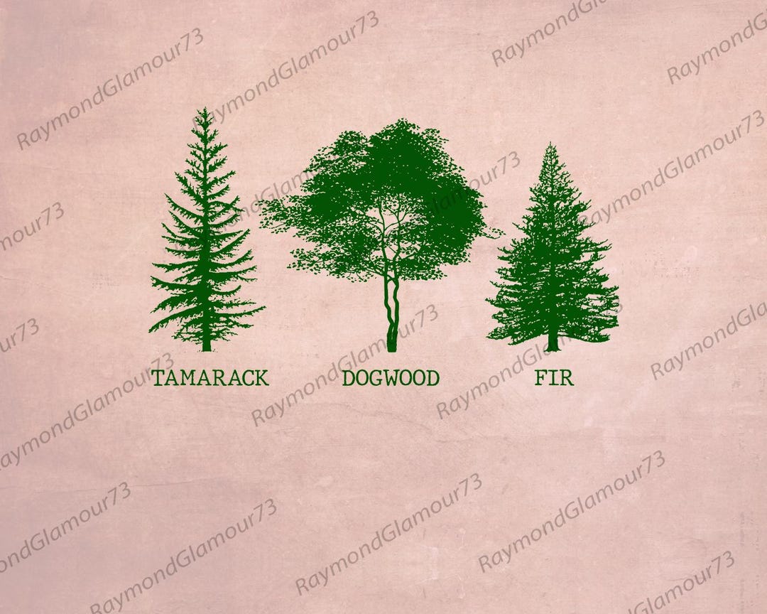 FDT Tree Png, Fir Dogwood Tamarack Png, Subtle Png, FDT Png, Democrats ...
