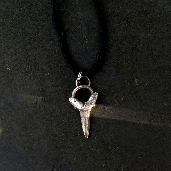 Sharktooth Pendant - Etsy