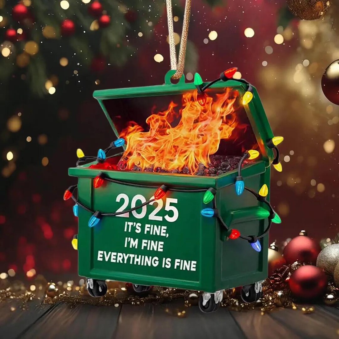 Personalized Funny Dumpster Fire Ornament 2025 – Custom Name Christmas ...