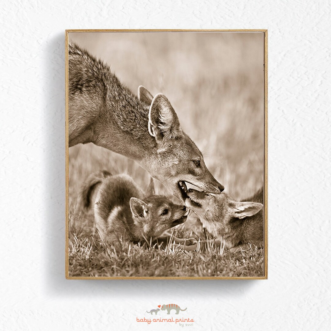 Animal Wall Art, Animal Nursery Decor, Sepia Animal Print, Baby Animal ...