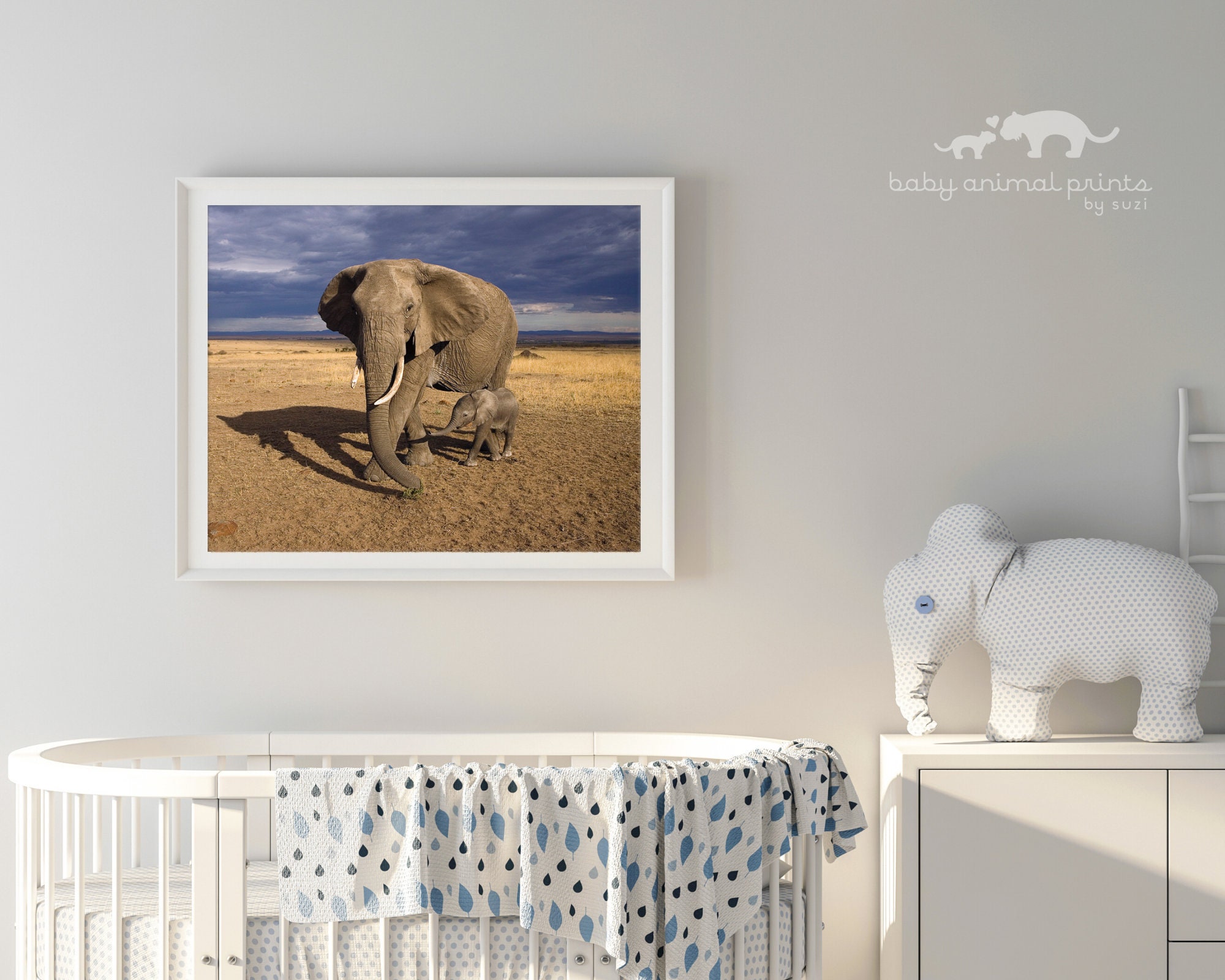 Elephant Nursery Print / Elephant Art / Baby Animal Photo / Kids Room ...