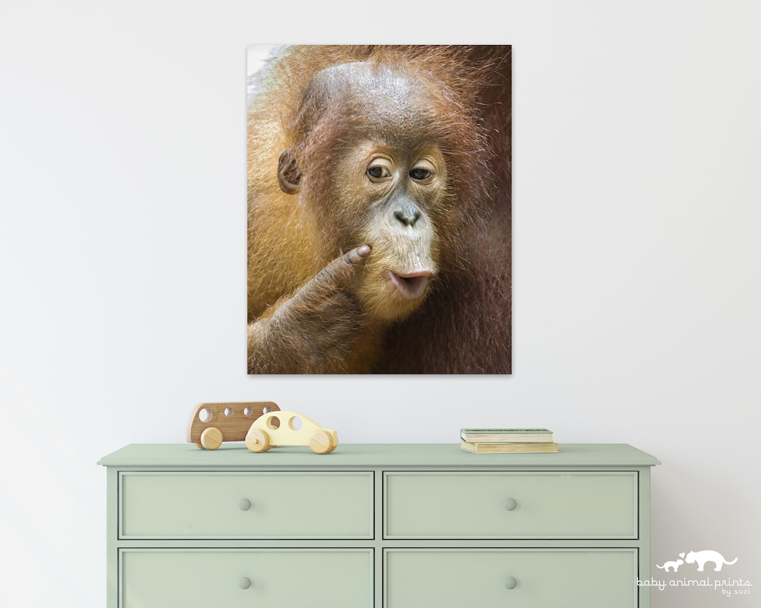 Safari Nursery Art / BABY ORANGUTAN / Baby Animal Print / Jungle ...