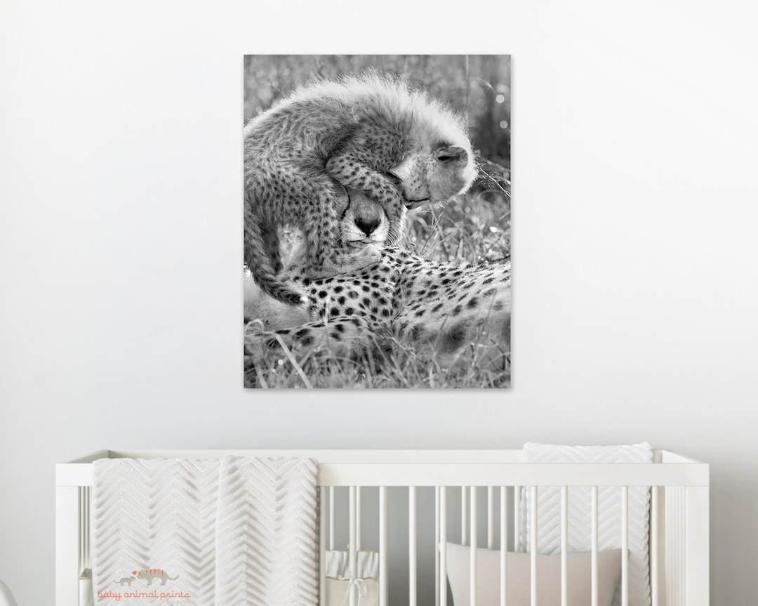 Baby Cheetah Photo: Baby Animal Nursery Art Print - Etsy