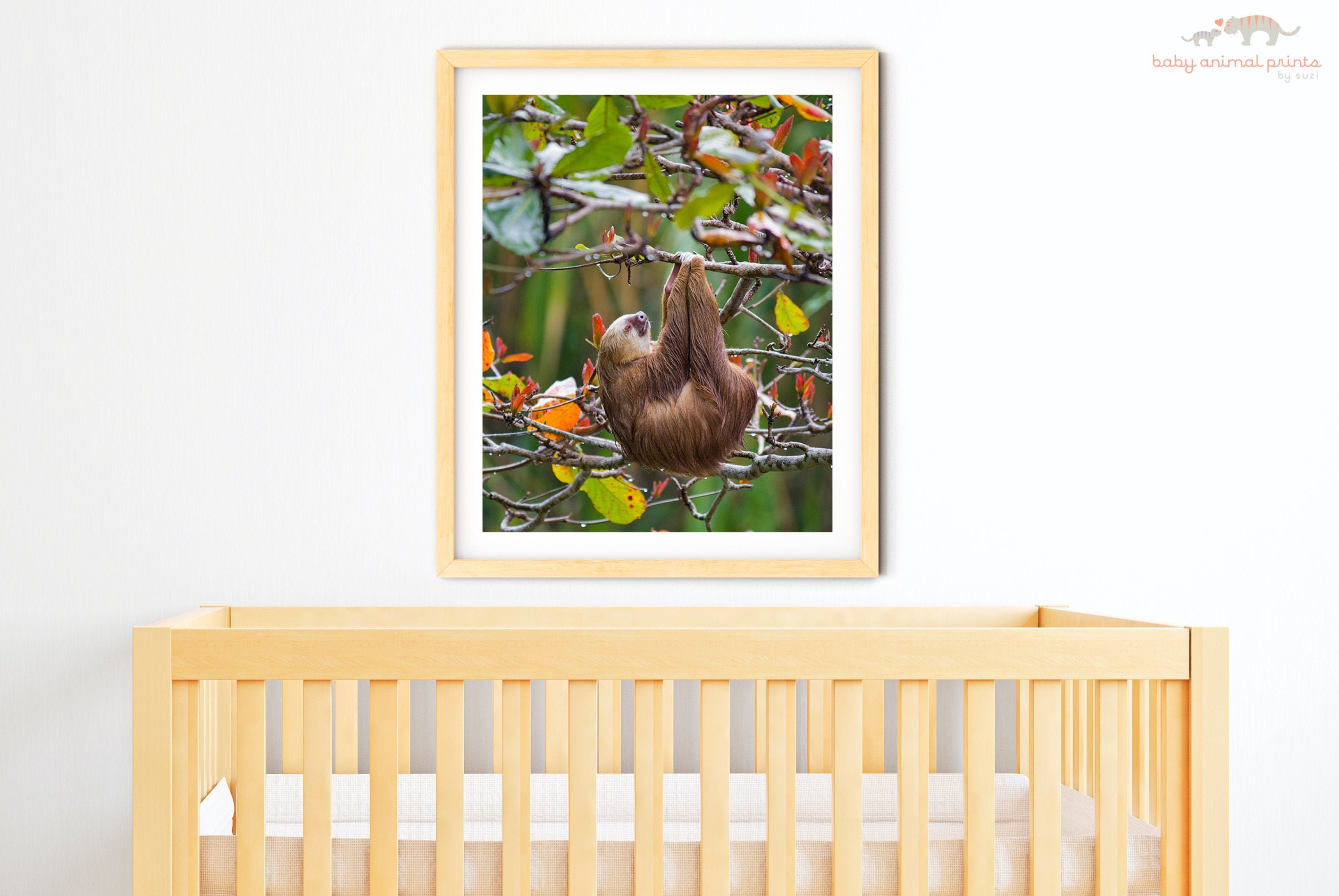 Sloth Nursery Decor Jungle Nursery Print Sloth Print Sloth | Etsy