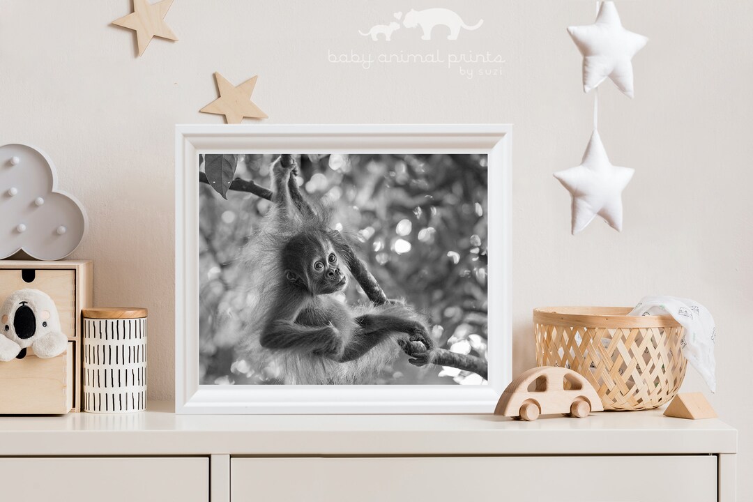 Nursery Decor / Orangutan Print / Baby Nursery / Baby Animal Print ...