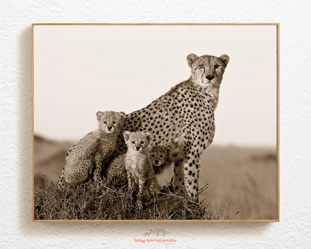 Cheetah Family Sepia Print: Safari Nursery Decor - Etsy